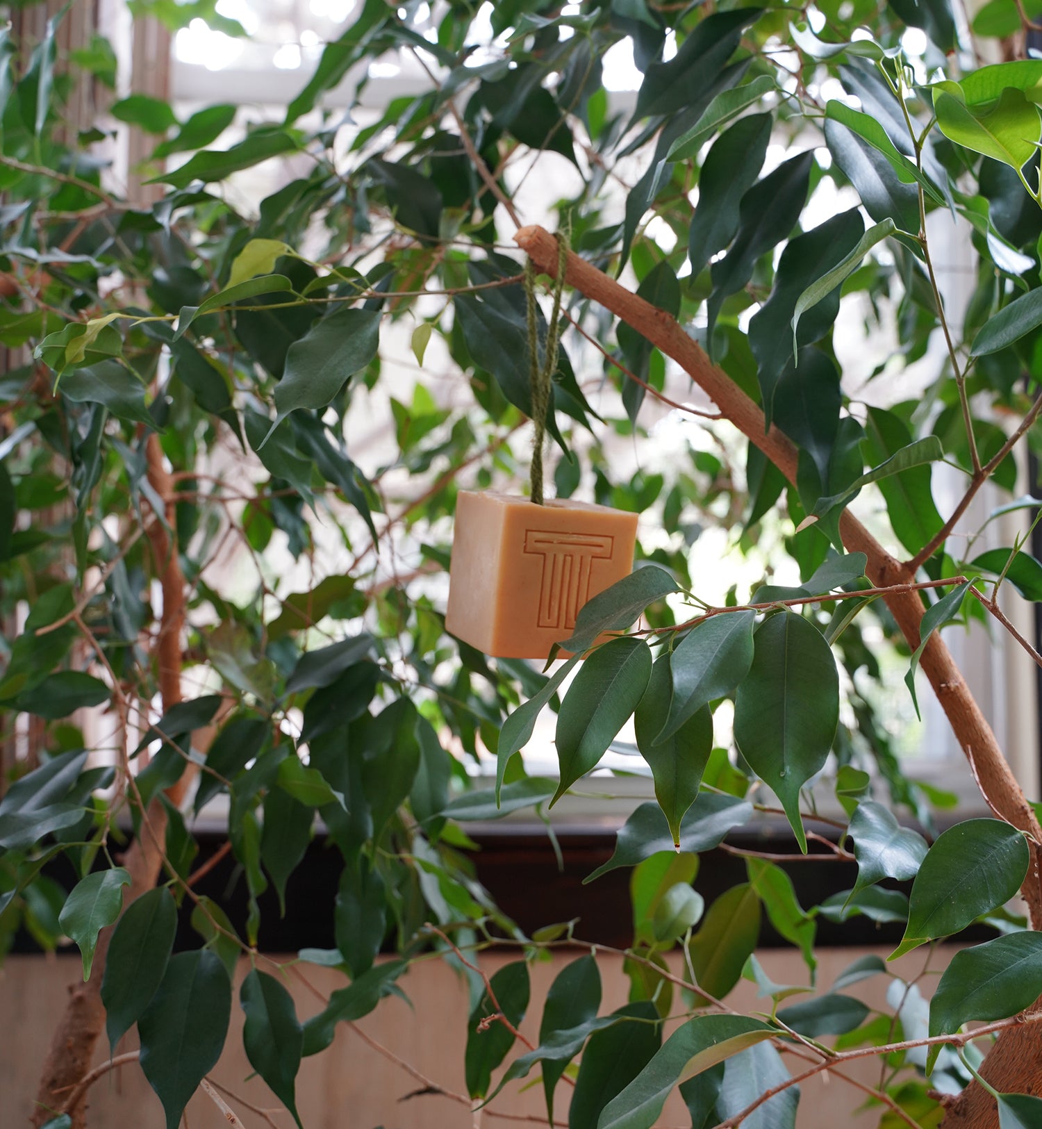 Natural Handmade Soap is Better for Your Health – TERRA-TORY