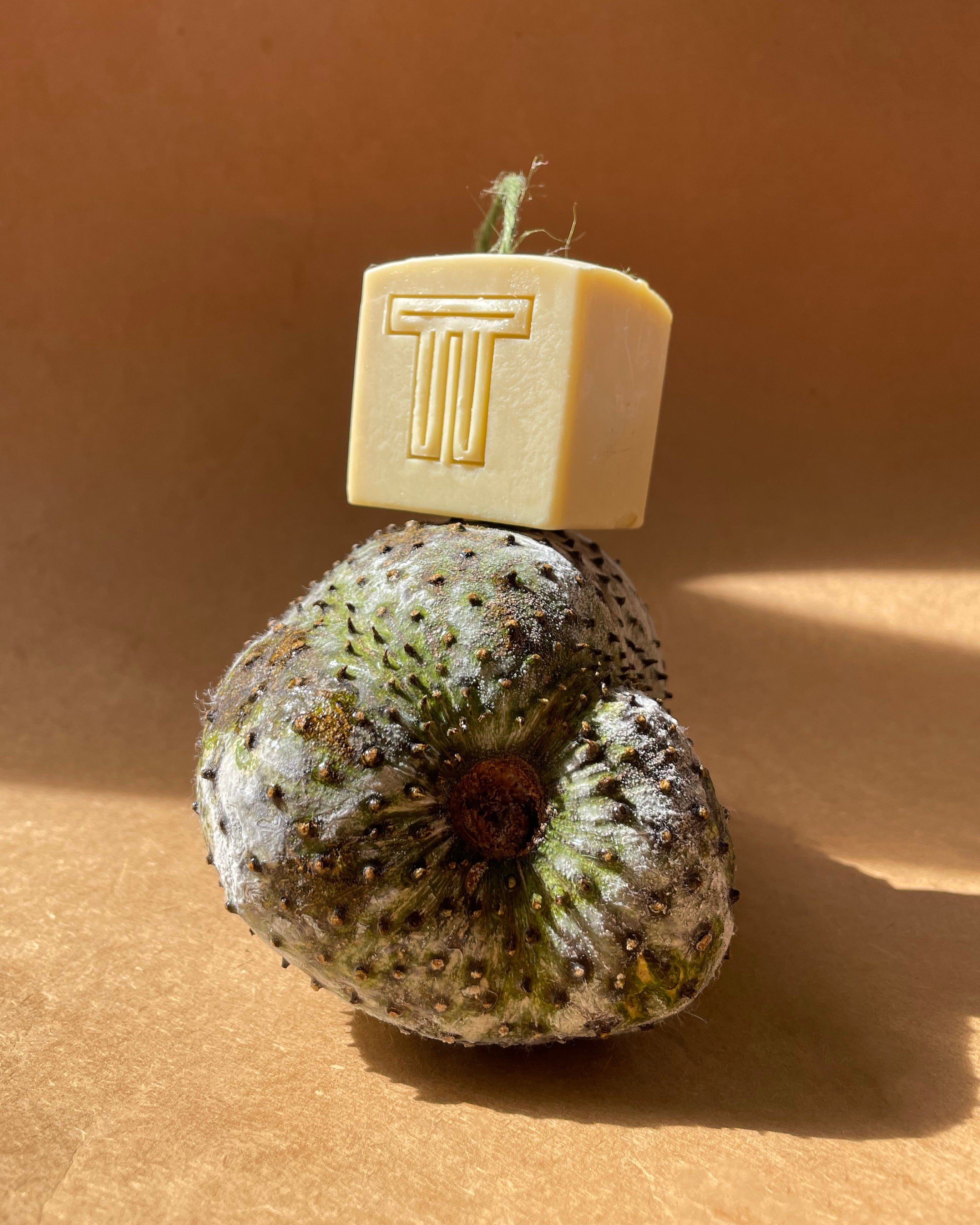 The Skin Benefits of Soursop 🌿 – TERRA-TORY