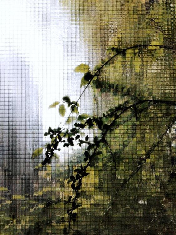 Seasonal Wellness Tips for 2024 – TERRA-TORY