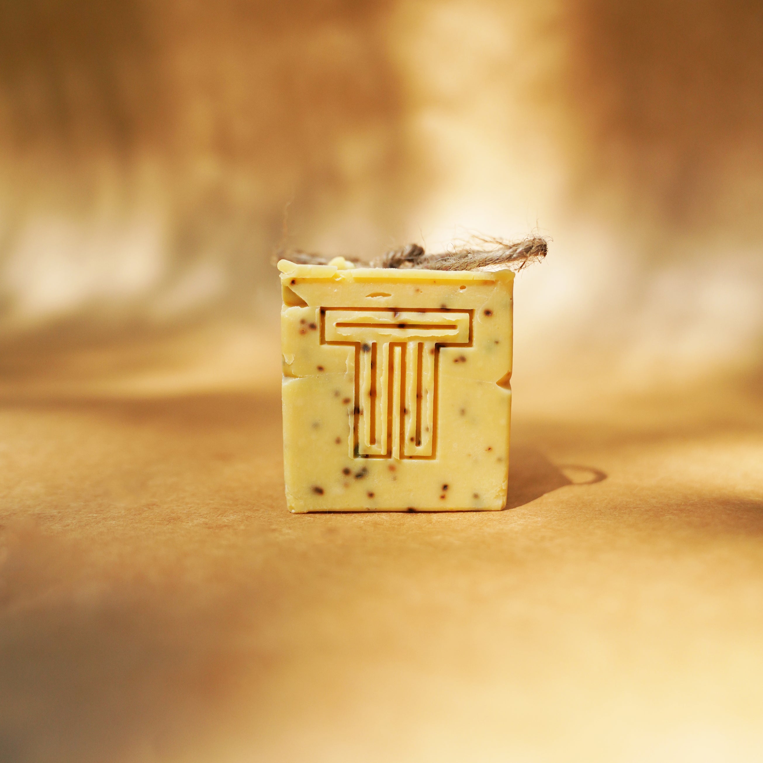 TERRA-TORY Warm Pumpkin + Bladderwrack Cube